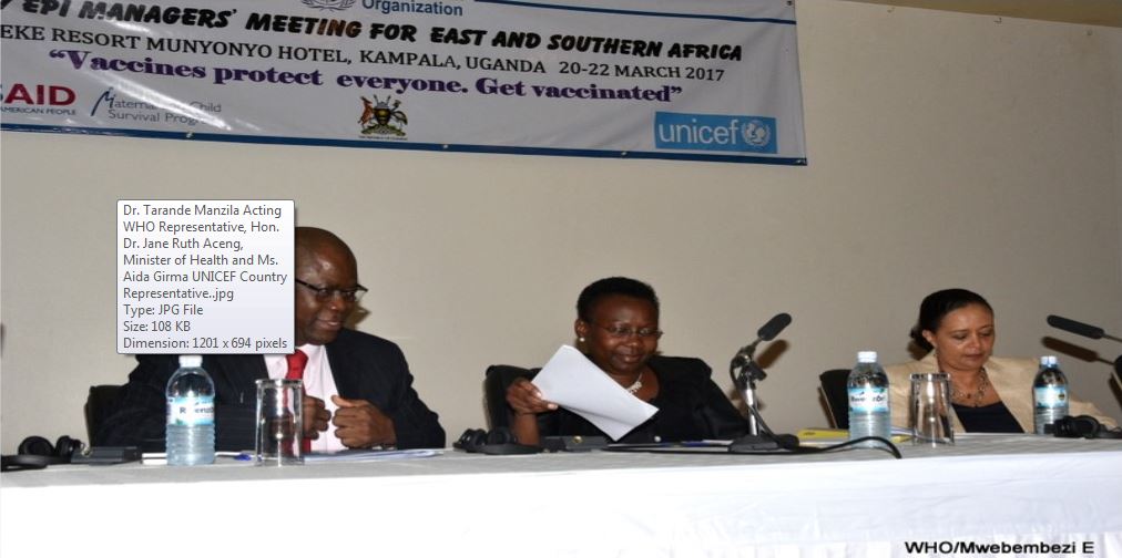 Immunization managers commit to implementing the Addis declaration on immunization | WHO ...